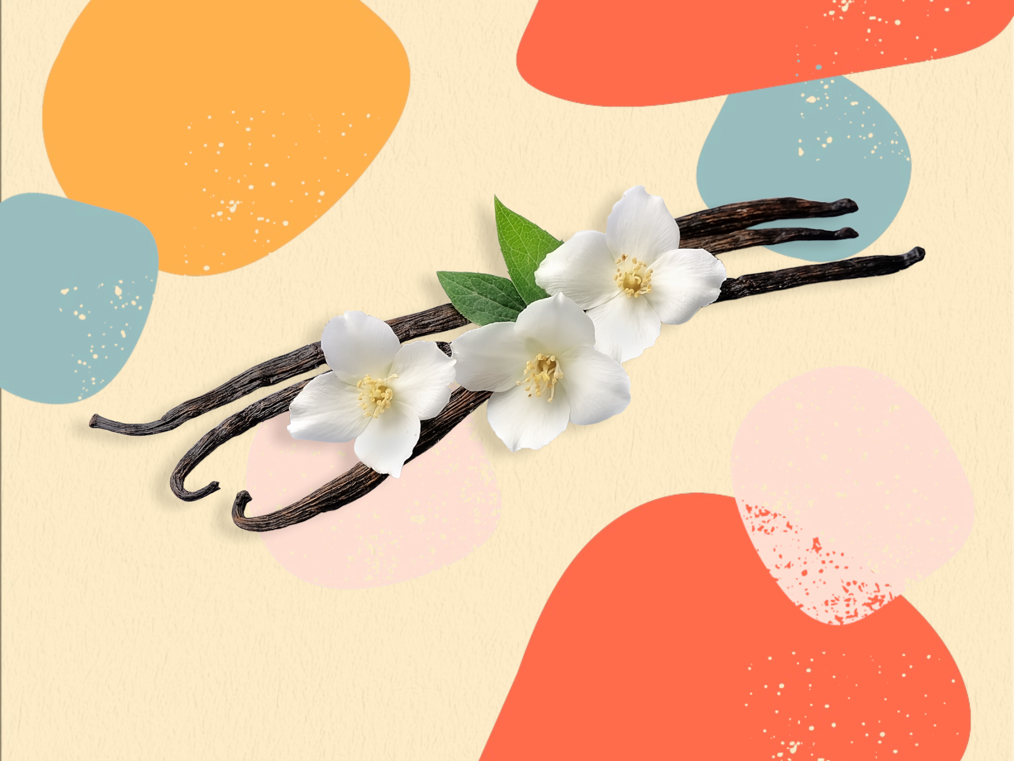 The Surprising Health Benefits of Vanilla: It's More Than Just a Delic ...